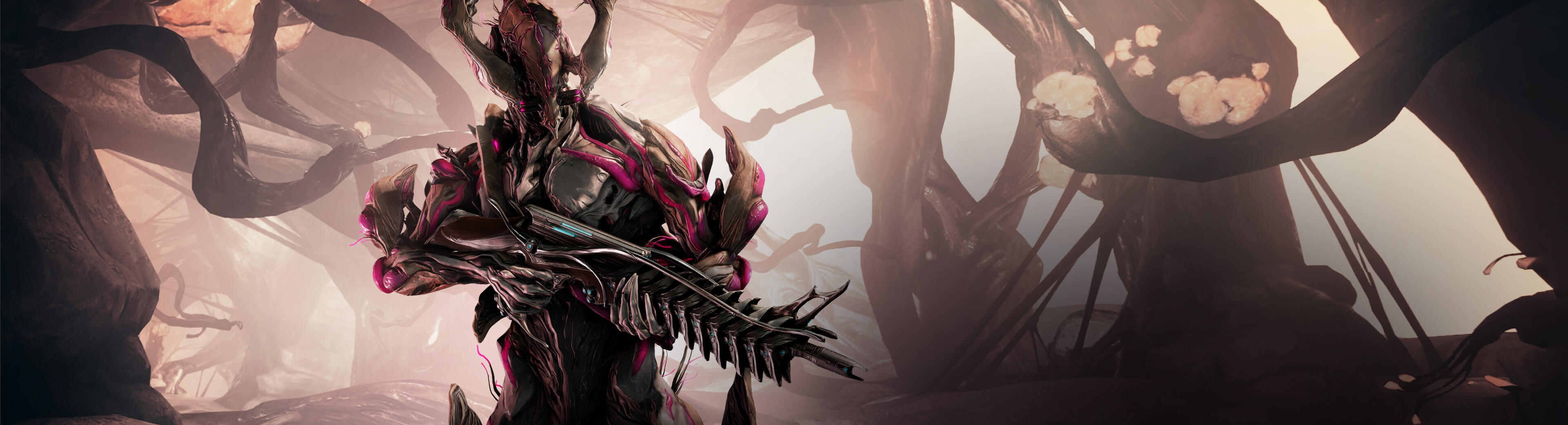 Warframe: Initiate Pack Summer Sale